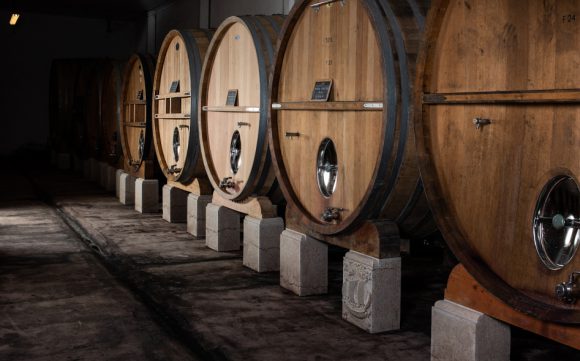 Homepage - Domaine Tempier